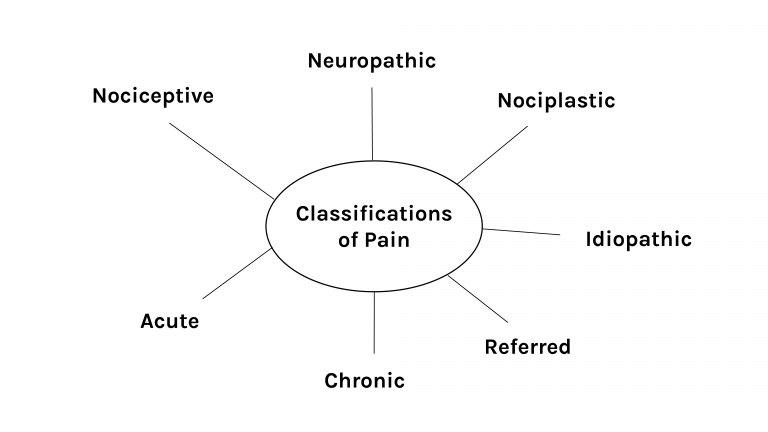 Classifying Pain – Introduction to Health Assessment for the Nursing ...
