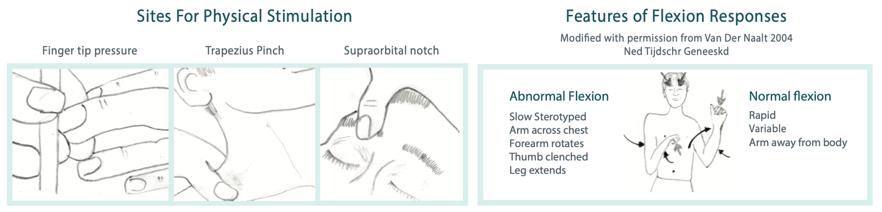 13.8 Glasgow Coma Scale – Nursing Physical Assessment