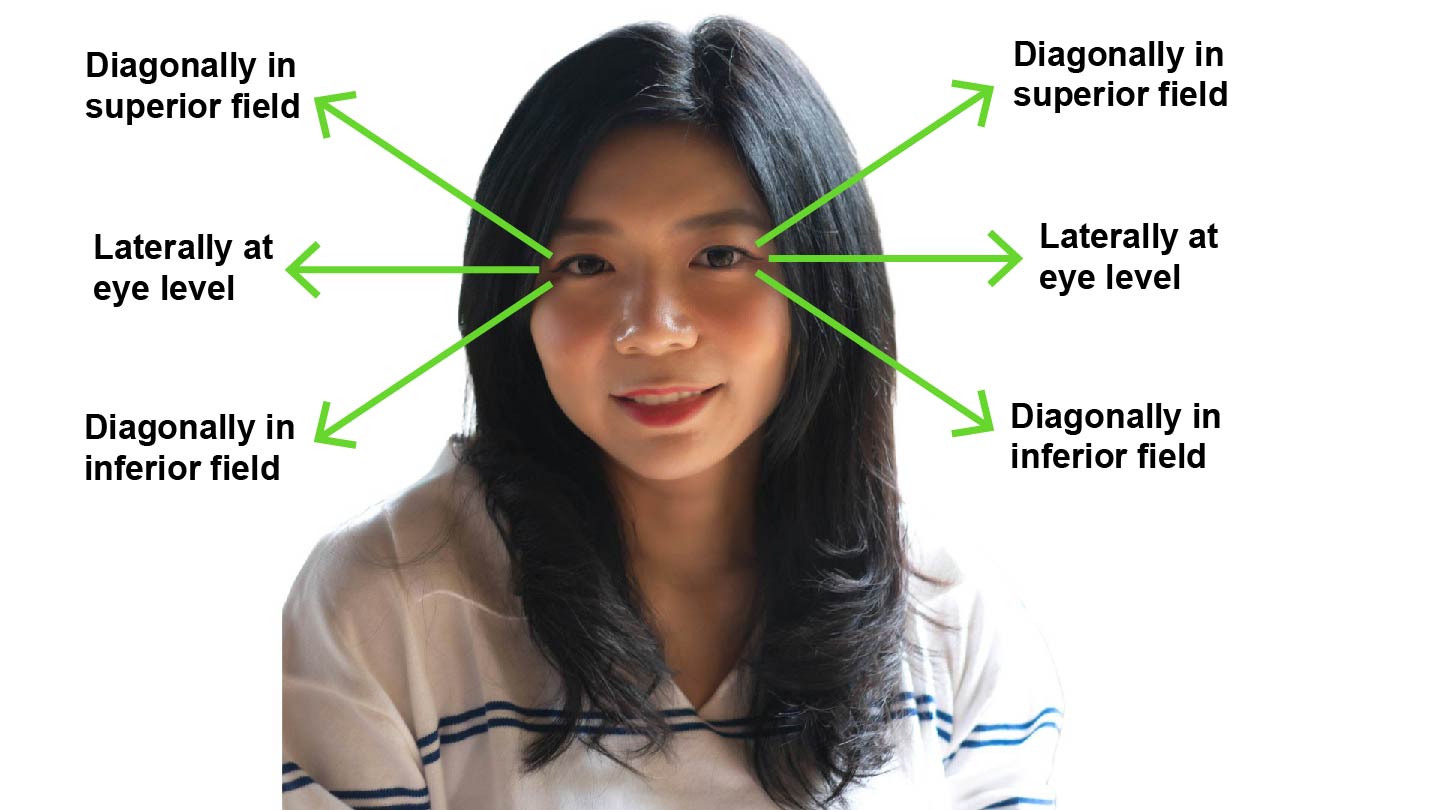 CN II – Optic Nerves – Introduction to Health Assessment for the ...