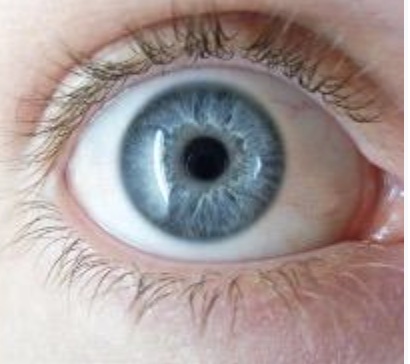 External Eye Assessment and Anterior Eyeball Assessment – Introduction ...