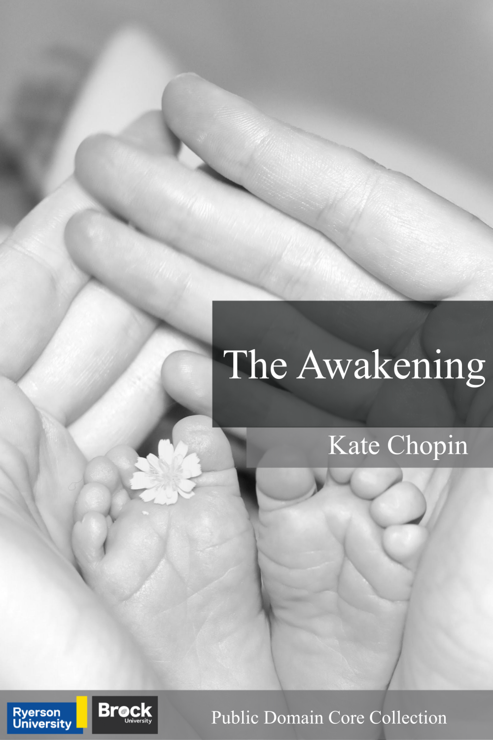 The Awakening – Open Textbook