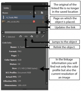 Chapter 3 • InDesign – Creative Cloud Basics