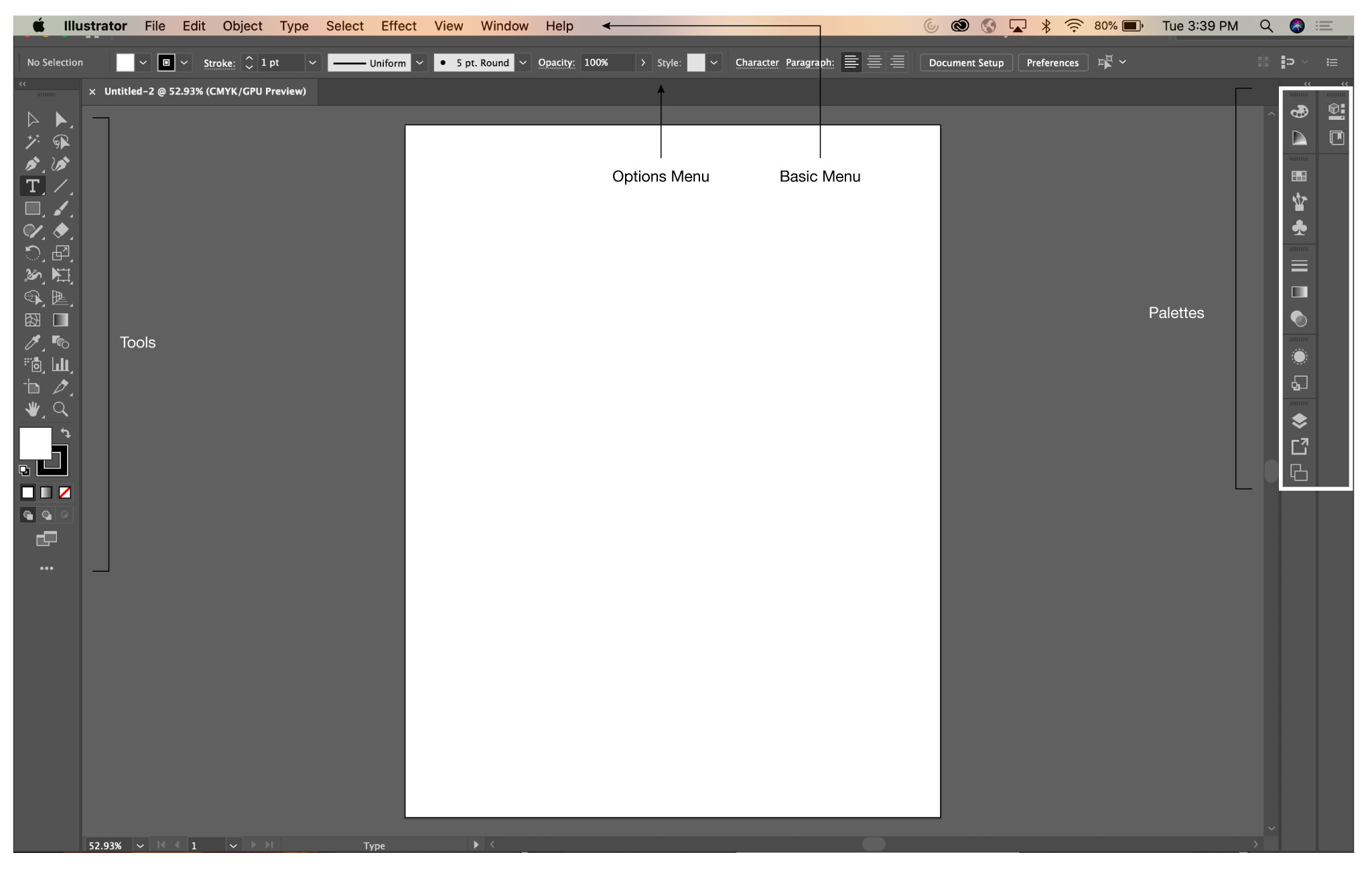 Chapter 2 • Illustrator – Creative Cloud Basics
