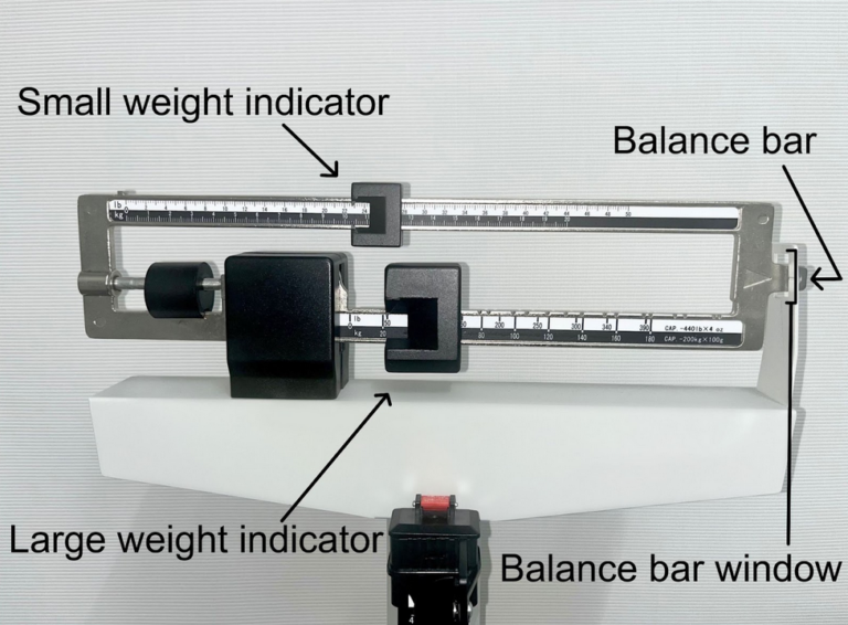 Weight and Height – Inclusive Approach to Anthropometric Body ...