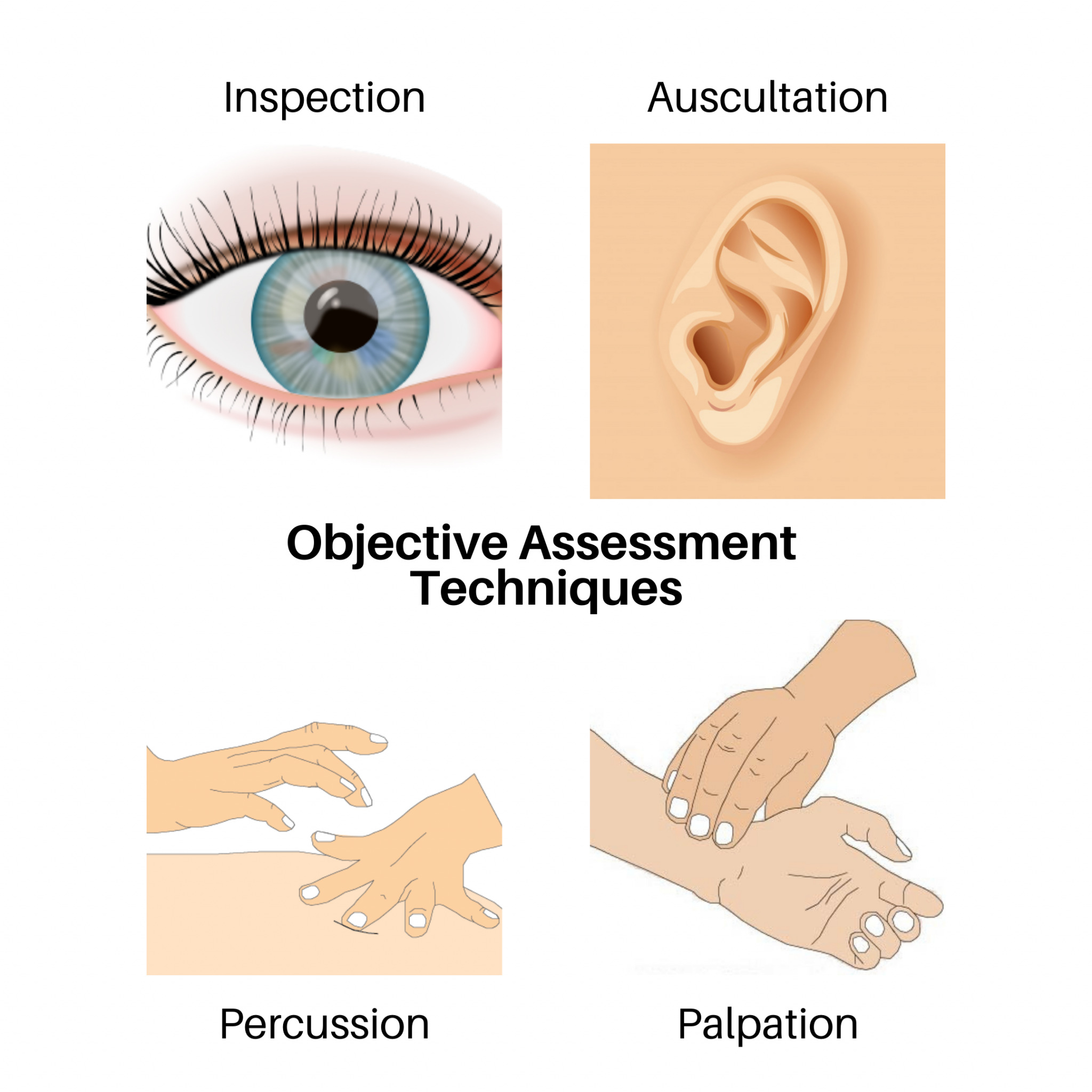 Objective Assessment – Physical Examination Techniques: A Nurse’s Guide