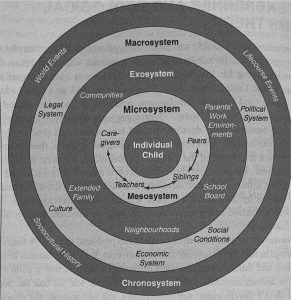 Chapter 2: Theories in the Sociology of Education – Critical Indigenous ...