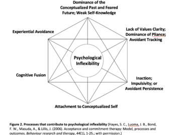 Hexaflex: The ACT model of psychological flexibility – Acceptance and Commitment Training (ACT ...