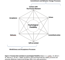 Hexaflex: The ACT model of psychological flexibility – Acceptance and ...