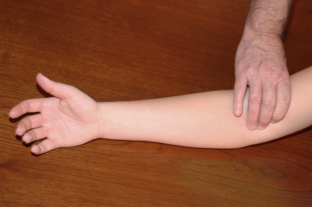 Brachial Pulse – Vital Sign Measurement Across the Lifespan – 1st ...