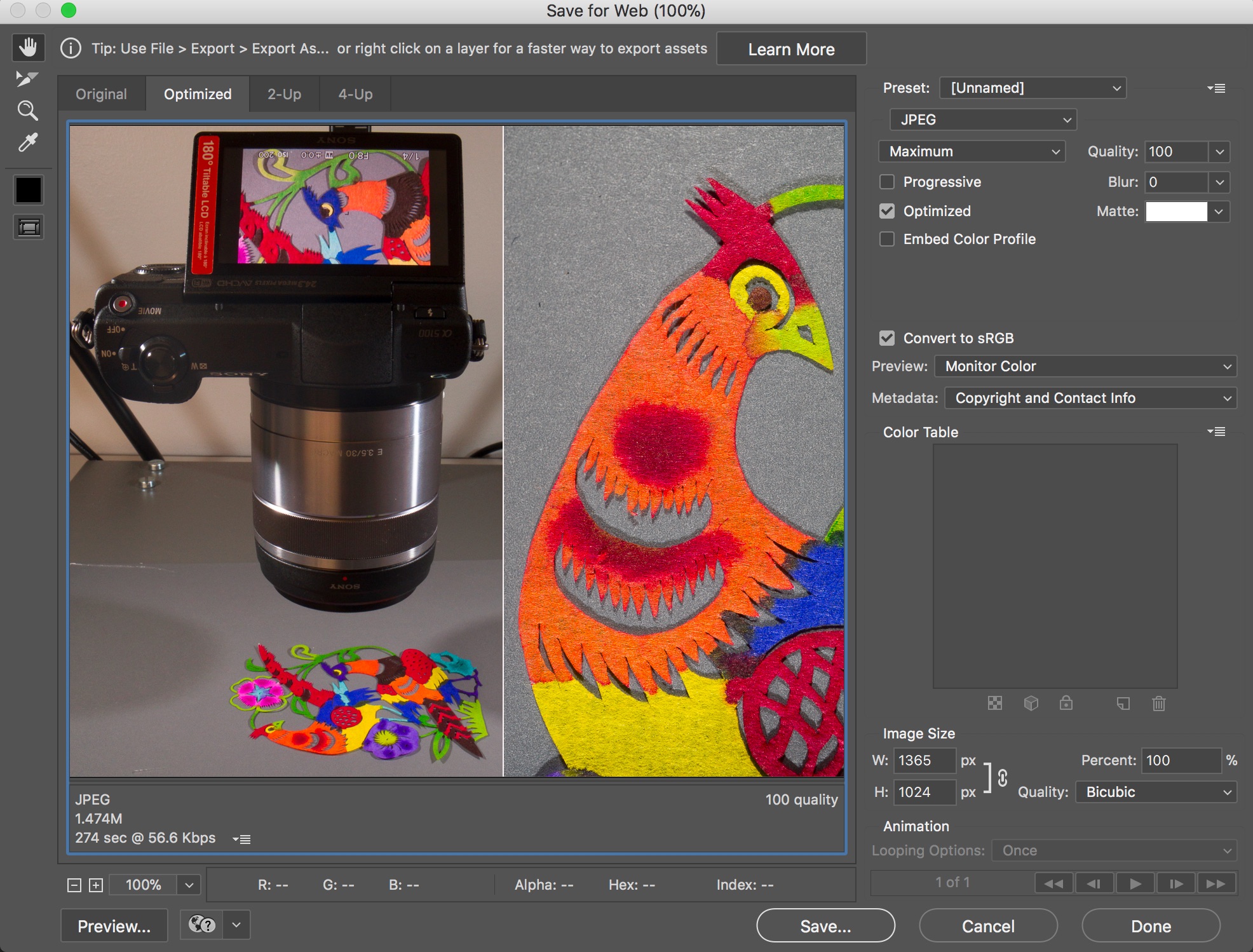Chapter 15 – Photoshop for Web and Cross-Media – Web Design Primer